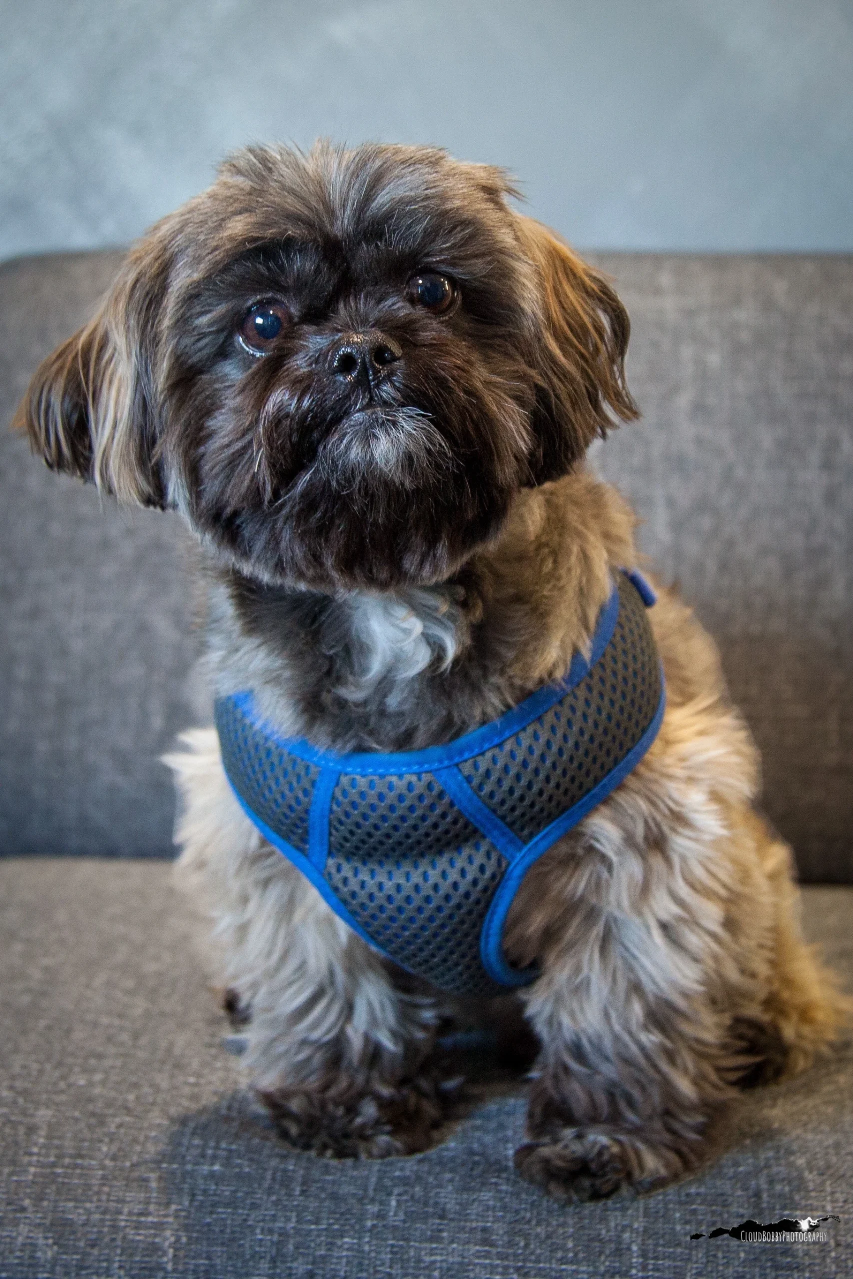 About Balance Wellspace - Integrative Health & Wellness Solutions